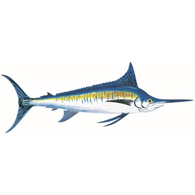 Decal Blue Marlin .84" x 2.25" (C416)